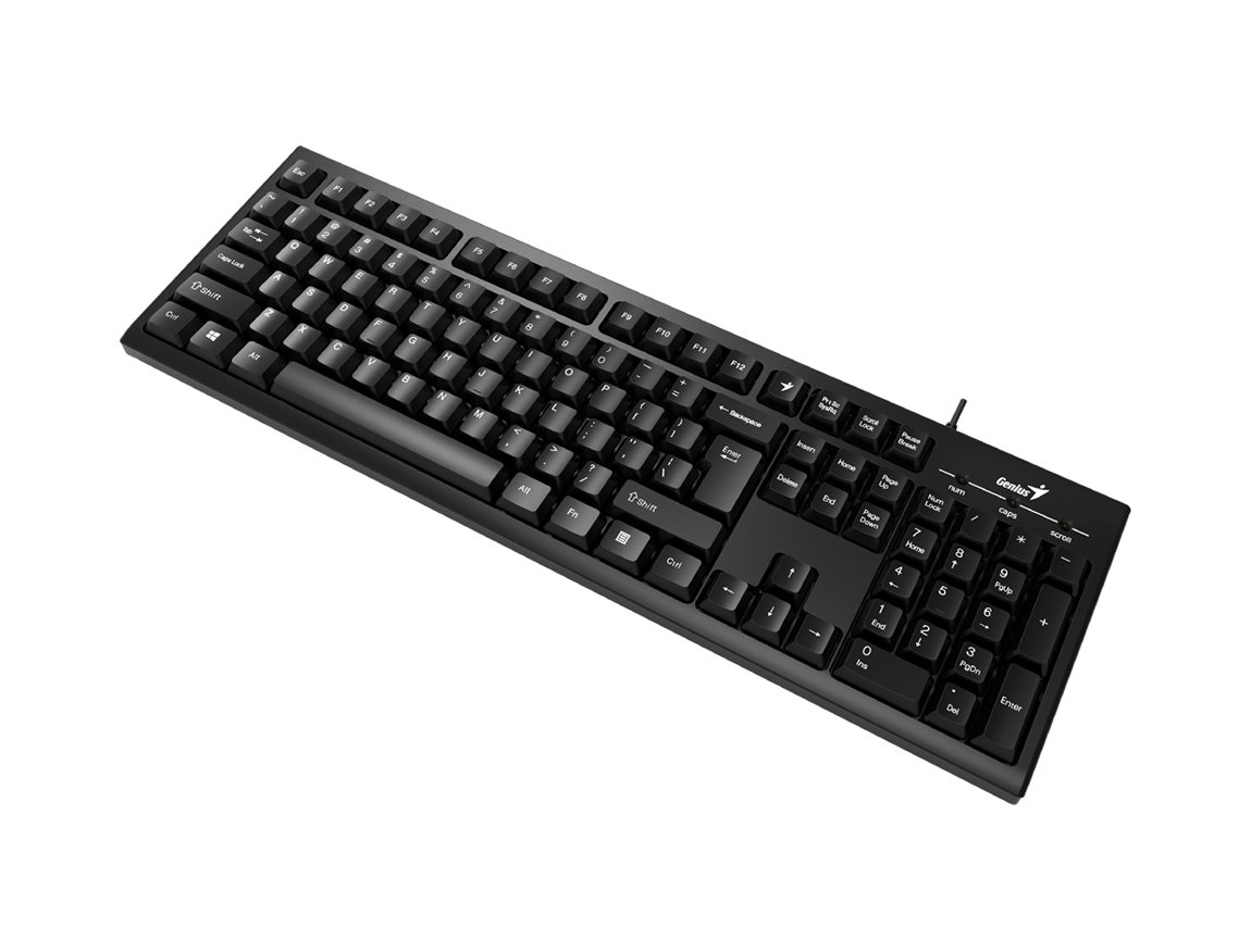 TECLADO GENIUS KB-100 ( 31300005401 )