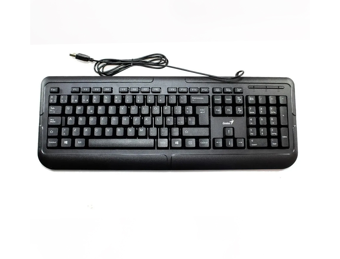 TECLADO GENIUS KB-118 ( 31300010401 )