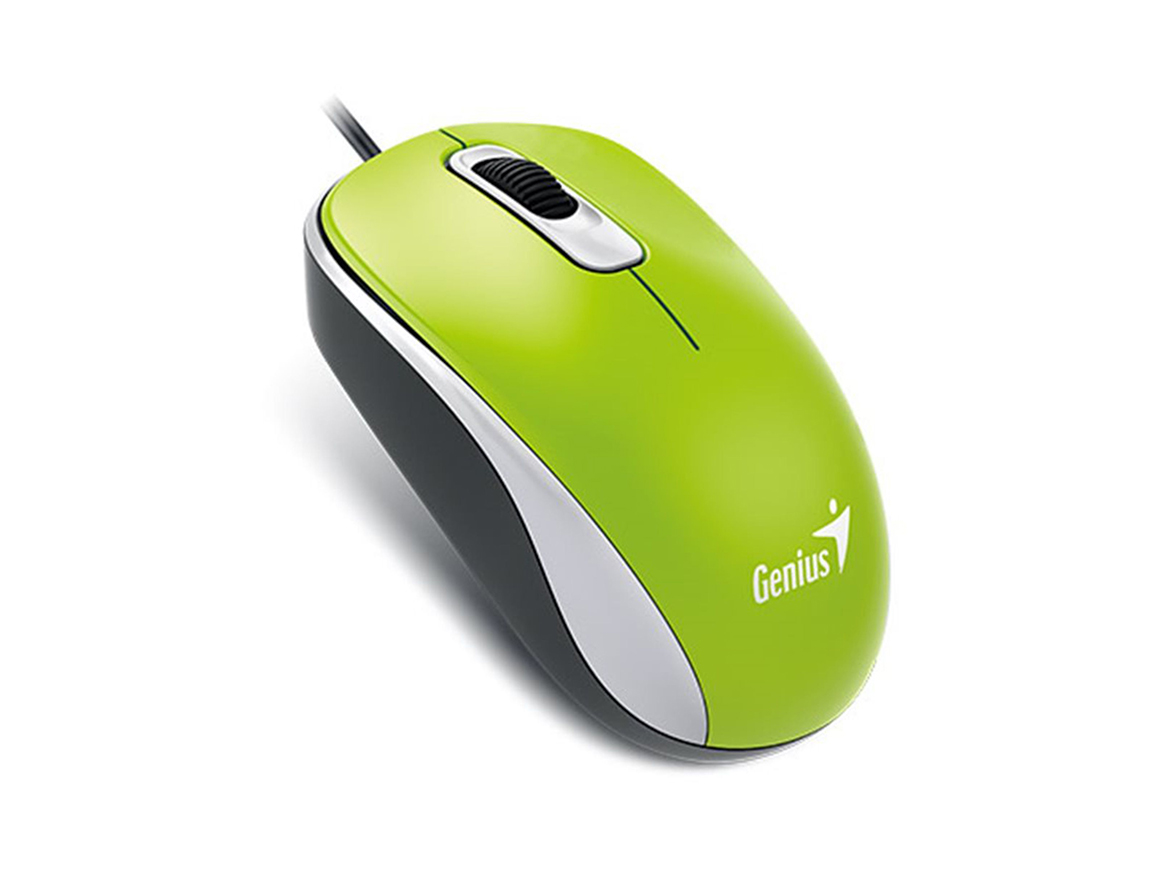 MOUSE GENIUS DX-110 VERDE (31010116105)